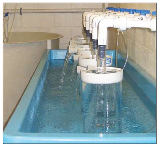 Hatching Jar – Fish Farm Supply Co